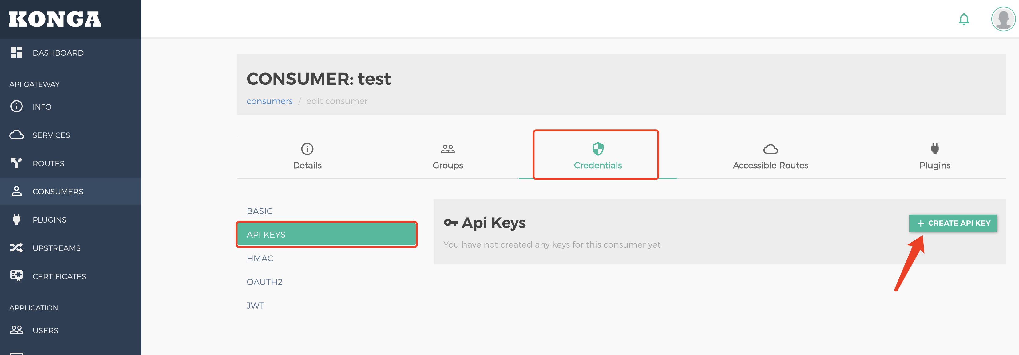 微服务引擎 TSE 使用 Key Auth 密钥认证-最佳实践-文档中心-腾讯云
